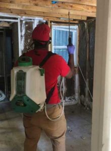 Commercial Pest Control Services in Virginia and Washington DC | EJ's ...